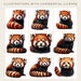 Red Panda Digital Clipart Bundle Commercial Use Printable Art, Junk ...
