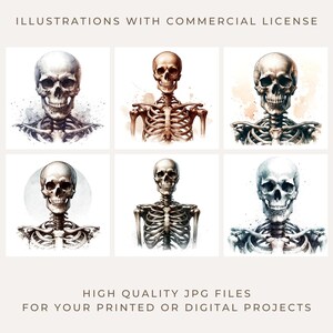 Mystical Halloween Clip Art Set, Skeleton Clipart, Skull Skeletons ...