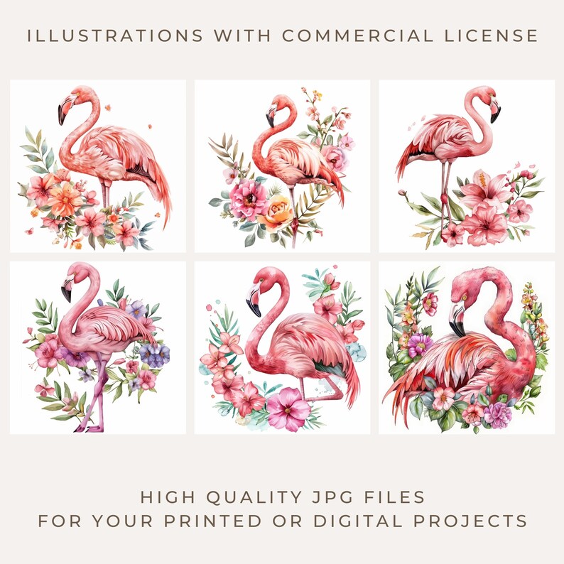 Tropical Birds Clipart Bundle, Flamingo Watercolor & Exotic Flowers ...