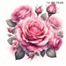 Pink Roses Bouquet Clipart Set for Paper Crafts & Junk Journal, Instant ...