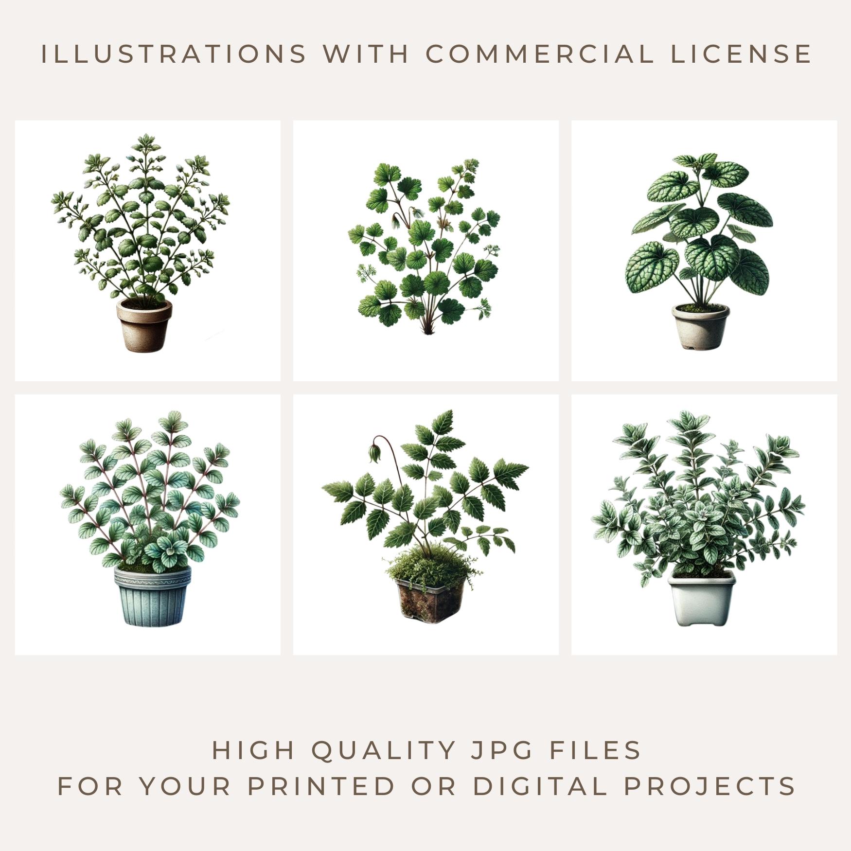 Greenery Clipart Set, Potted Plants, Miniature Trees, DIY Crafting Kit ...