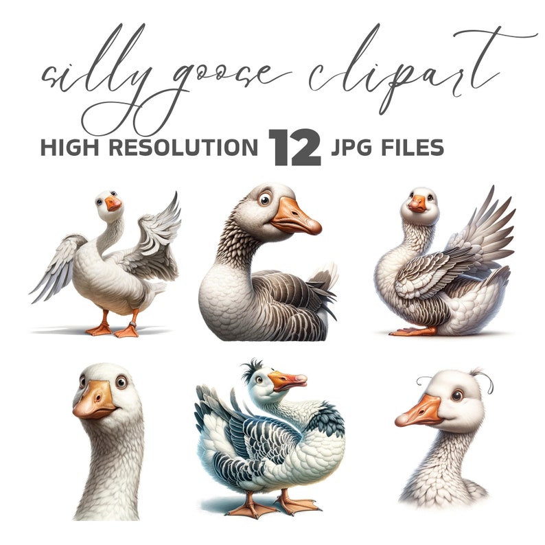 Silly Goose Clipart, Funny Bird Stickers for Digital Projects, Farm ...