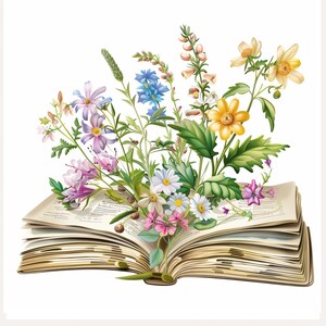 11 Opened Book Clipart, Flower Bouquets, Watercolor Book Illustration ...