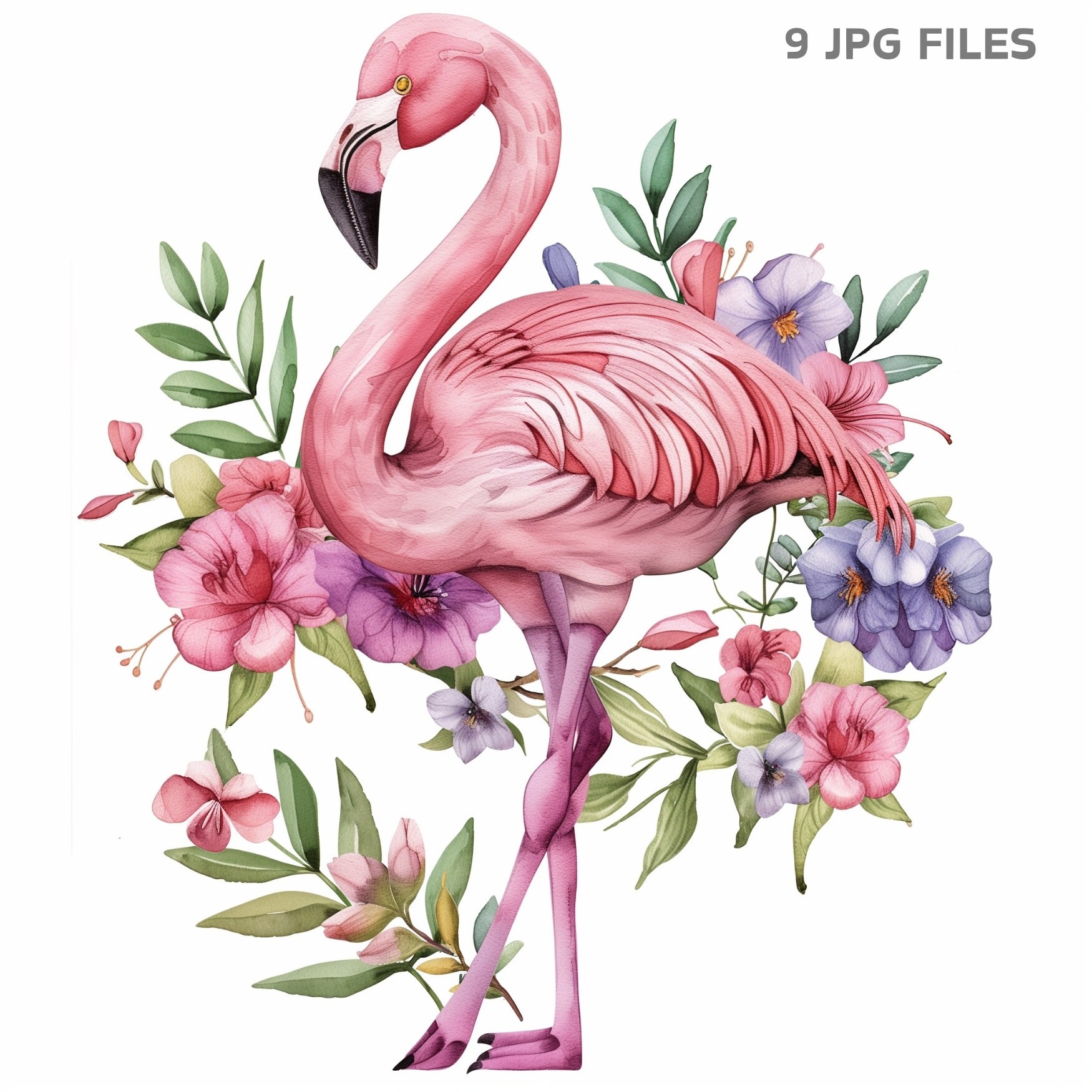 Tropical Birds Clipart Bundle, Flamingo Watercolor & Exotic Flowers ...