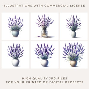 Watercolor Lavender in a Vase Clipart Pack for Minimalist Posters ...