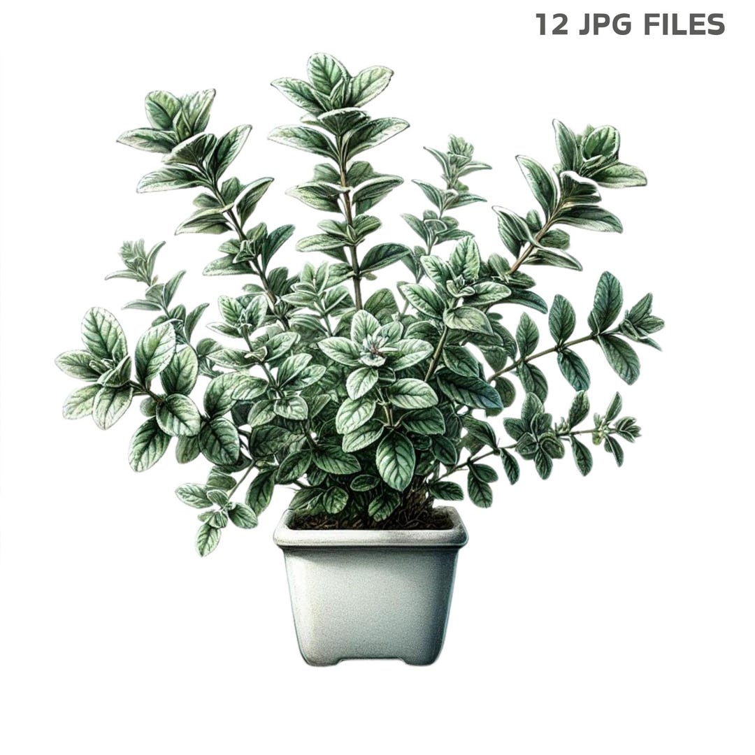 Greenery Clipart Set, Potted Plants, Miniature Trees, DIY Crafting Kit ...