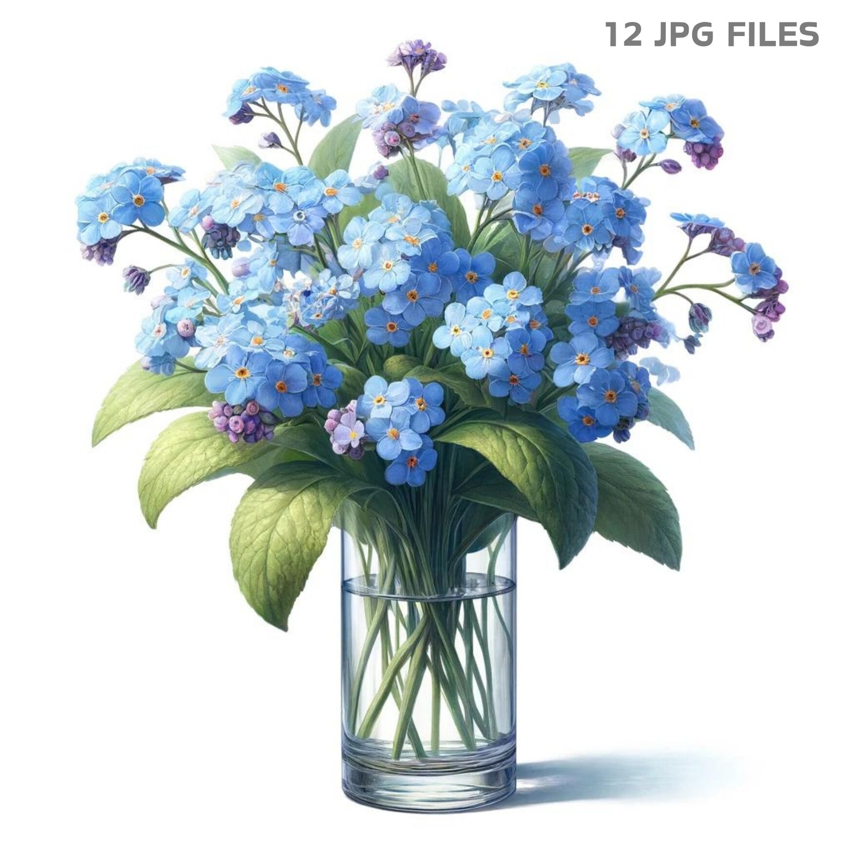 Watercolor Forget Me Not Clipart Instant Download for Commercial Use ...