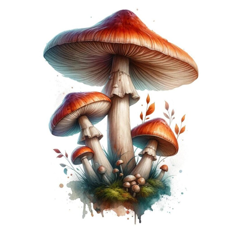 Autumn Mushrooms Clipart, Thanksgiving Clipart Set: Autumn Mushrooms ...