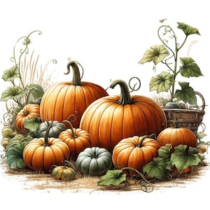 Fall Pumpkin Patch Clip Art Set, Digital Art Prints for Junk Journals ...