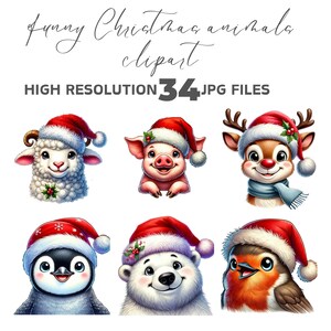 Funny Christmas Animals Clipart, High Resolution Images for Fun Holiday ...