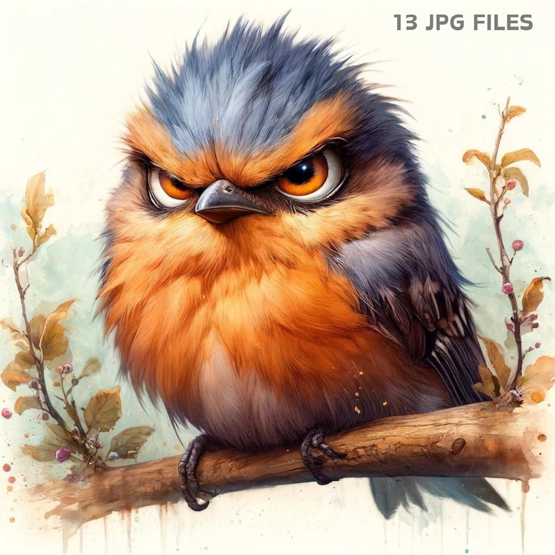 Grumpy Bird Clipart Bundle for Junk Journal, Bird-themed Decor, Instant ...