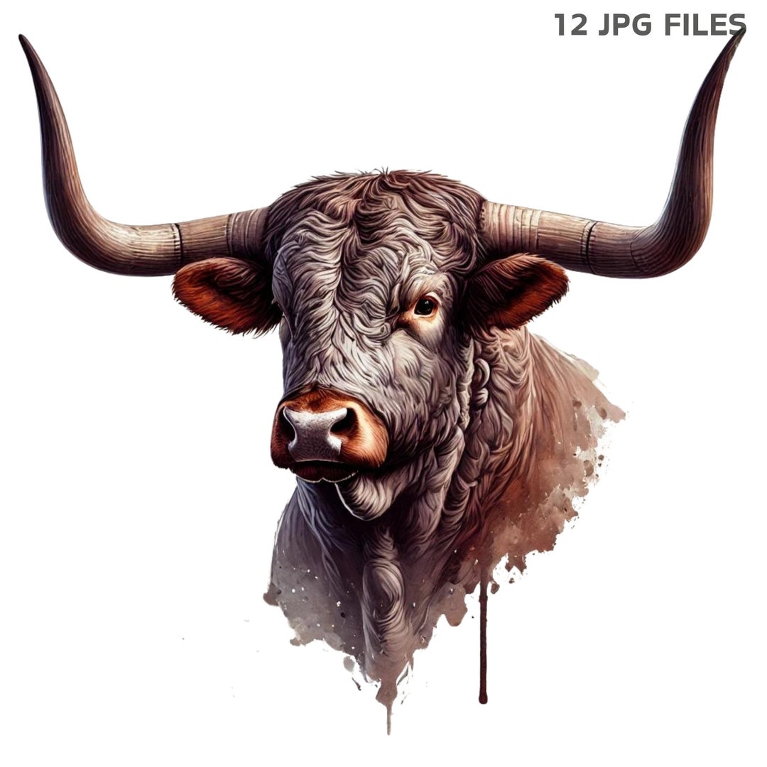 Texas Longhorn, Farm Clipart Set, Digital Download for T-shirt Graphics ...