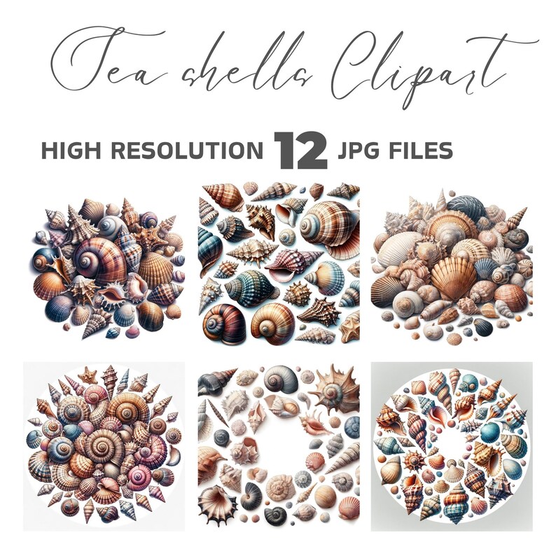 Watercolor Seashells for Junk Journals, Stickers, Digital Scrapbooking ...