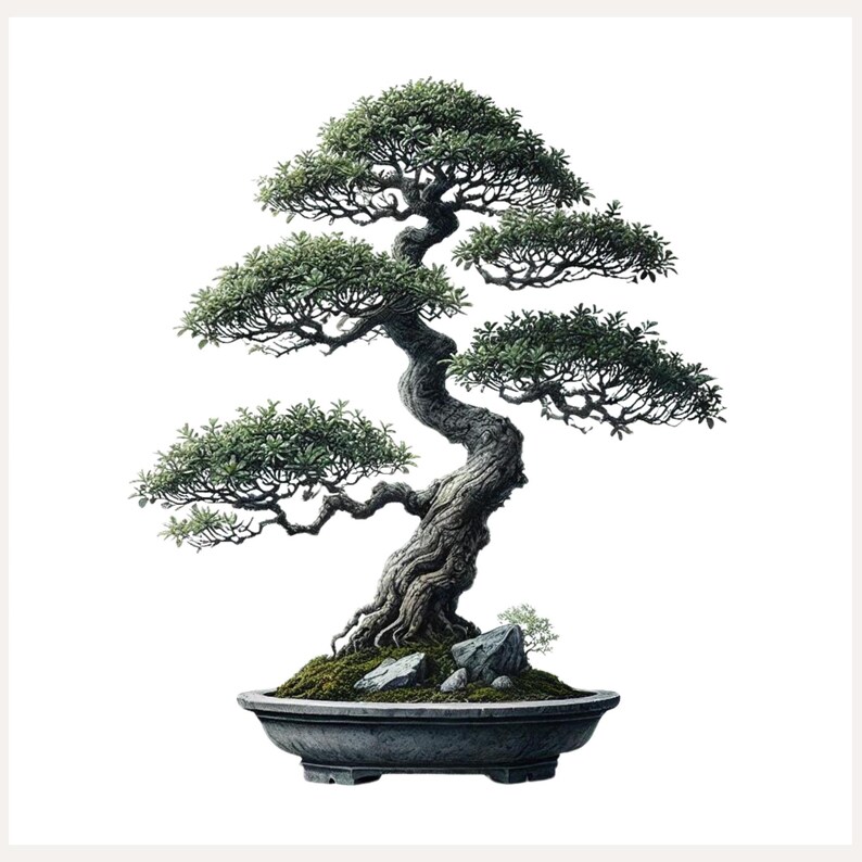 Digital Download Bonsai Tree Clipart Image for Crafting, Watercolor Set ...