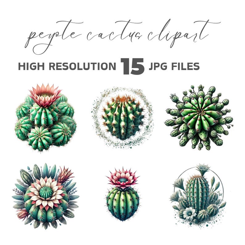 Peyote Cactus, Watercolor Clipart Bundle, Scrapbook Images, Digital ...