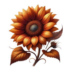Autumn Sunflower & Fall Leaves Clipart Set for Autumn Weddings ...