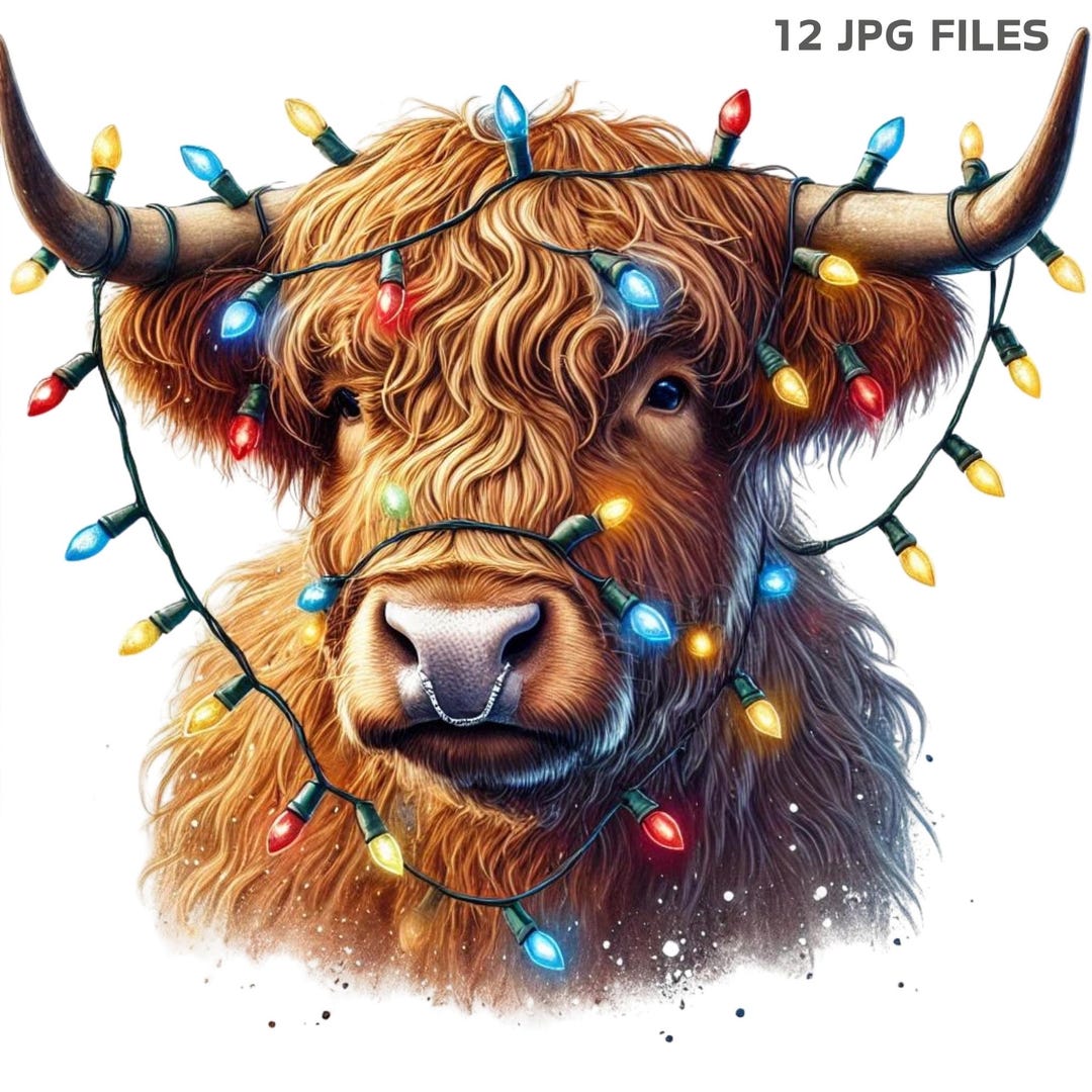 Highland Cow With Christmas Lights, Watercolor Clipart, Digital ...