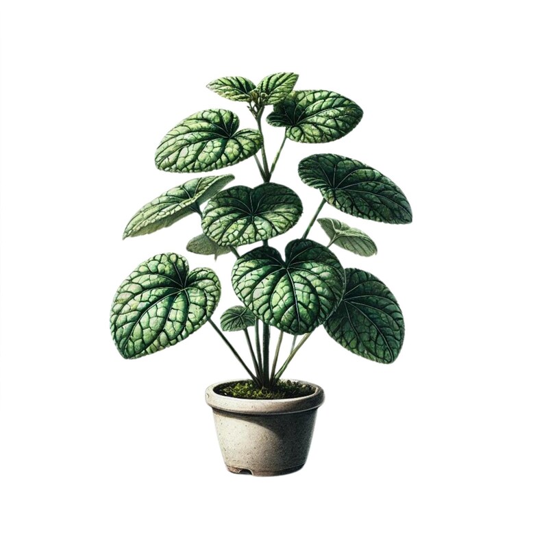 Greenery Clipart Set, Potted Plants, Miniature Trees, DIY Crafting Kit ...