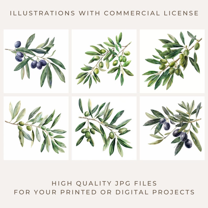 Olive Branch Watercolor Clipart, Digital Download for Wedding, Botanical Olive Clipart, Digital ...