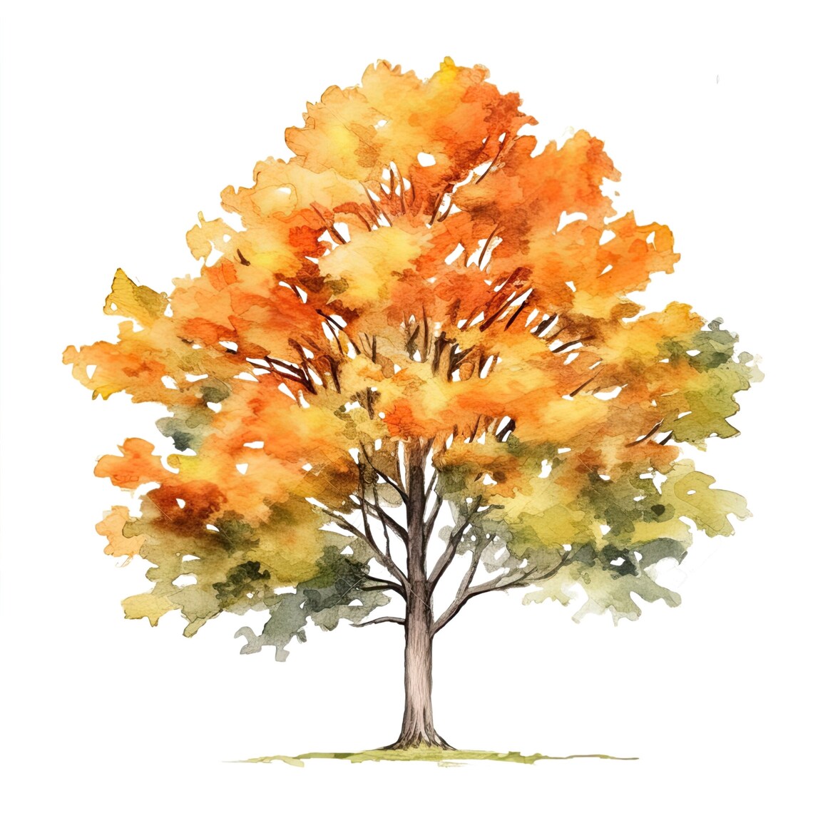 21 Maple Syrup Clipart, Digital Crafting & Scrapbooking JPG Files ...