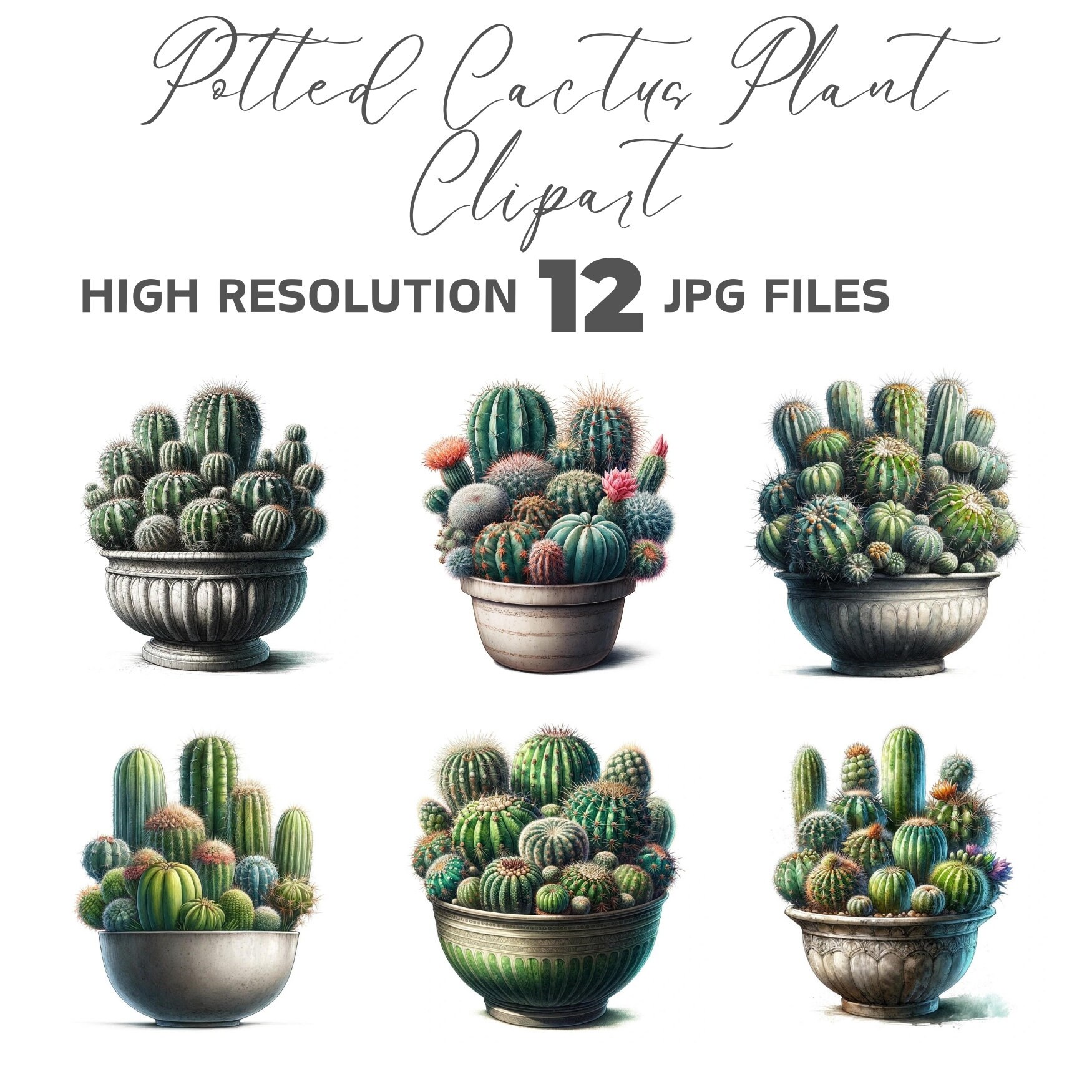 Potted Cactus Clipart Designs for DIY Crafting Projects, Cactus ...