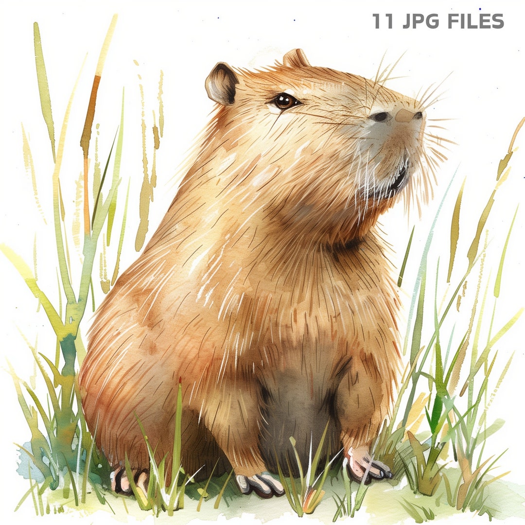 Wild Capybara Watercolor Clipart Set for Commercial Use, Instant ...