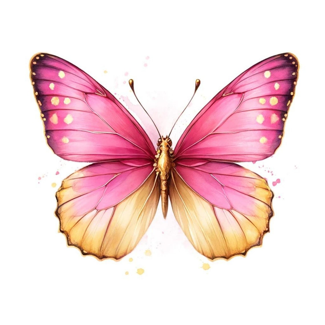 Shabby Chic Pink and Golden Butterfly Clipart for Craft Projects ...