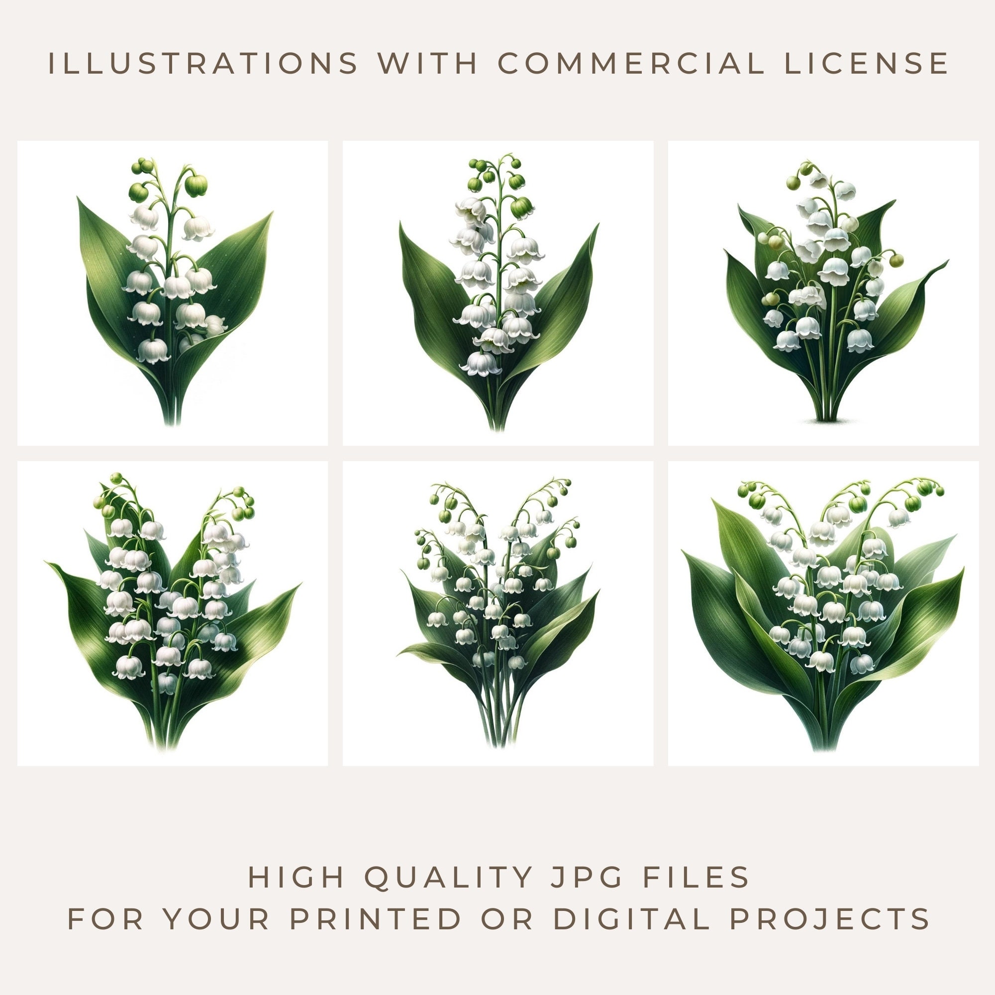 Instant Download Watercolor Lily of the Valley Clipart for Digital ...