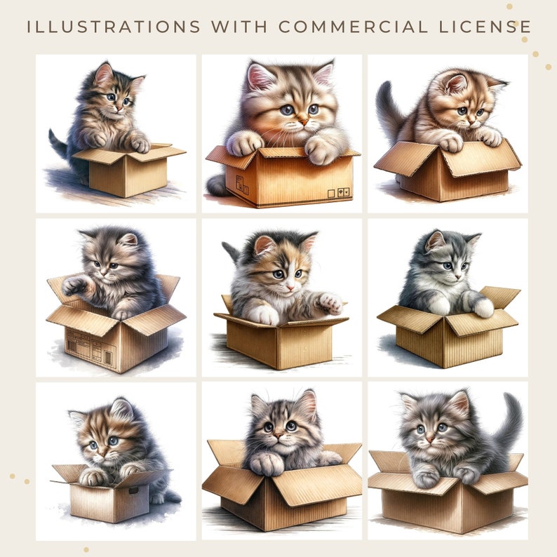 Cat Clipart Bundle, Cute Kittens Playing With Boxes, Digital Graphics ...