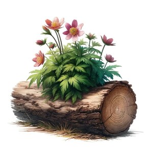 12 Wildflower in Log Watercolor Clipart Instant Download for Digital ...