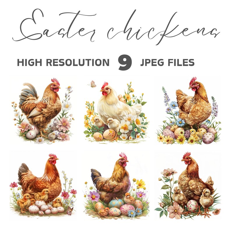9 Chickens With Chicks Flowers & Eggs Instant Download for Junk ...
