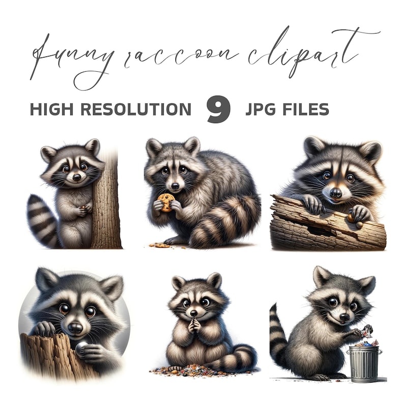 Funny Raccoon Watercolor Clipart for Scrapbook & Digital Crafting ...