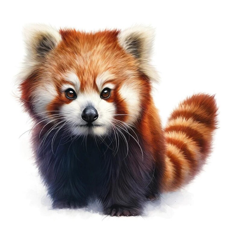 Red Panda Digital Clipart Bundle Commercial Use Printable Art, Junk ...