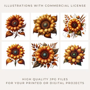 Autumn Sunflower & Fall Leaves Clipart Set for Autumn Weddings ...