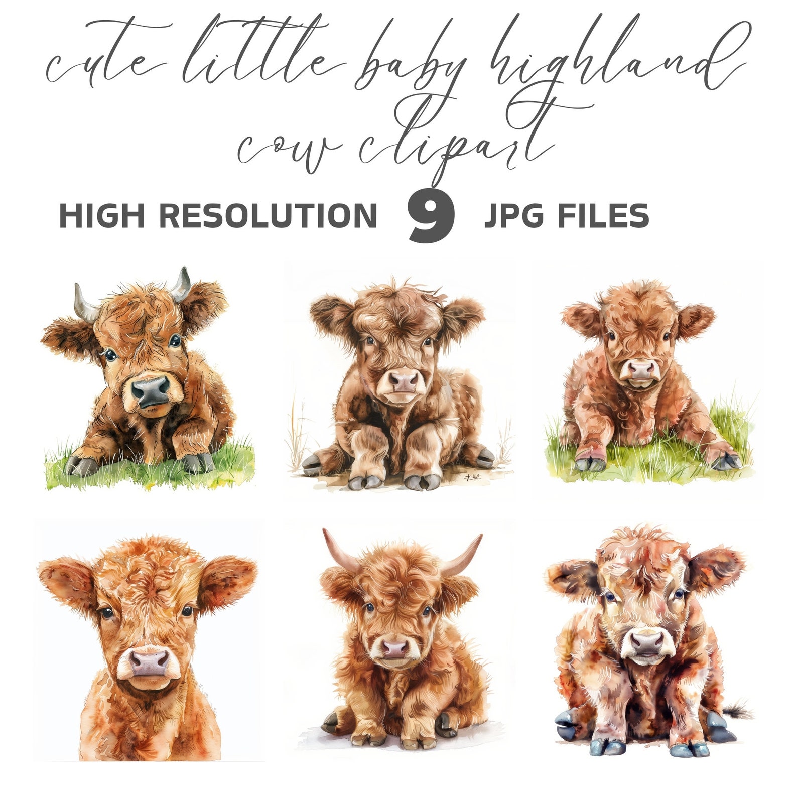 Cute Little Baby Highland Cow Clipart, Farm Animals, Nursery Decoration ...