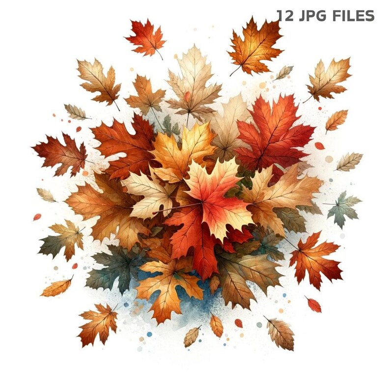 Falling Autumn Leaves Clipart, Cozy Autumn Leaf Confetti, Digital ...