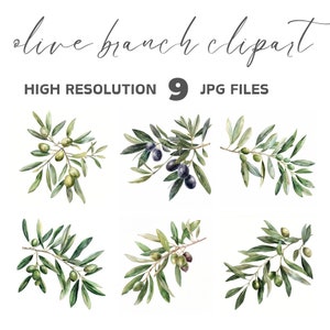 Olive Branch Watercolor Clipart, Digital Download for Wedding, Botanical Olive Clipart, Digital ...