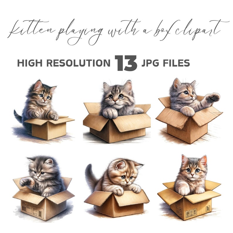 Cat Clipart Bundle, Cute Kittens Playing With Boxes, Digital Graphics ...