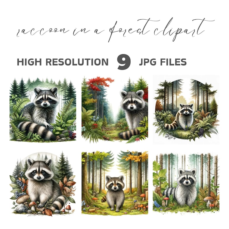 Raccoon in a Forest, Watercolor Animals, Instant Download, Woodland ...