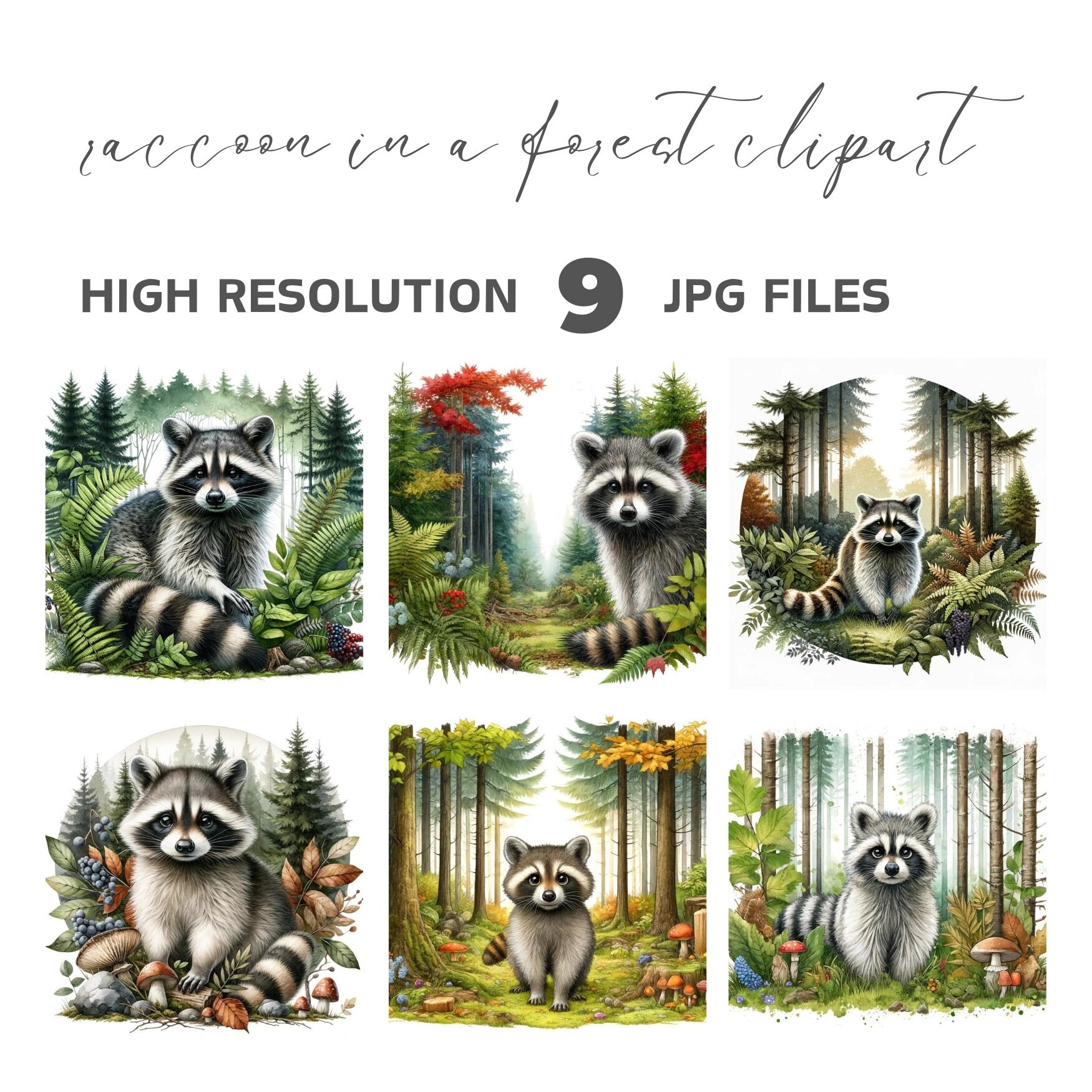 Raccoon in a Forest, Watercolor Animals, Instant Download, Woodland ...