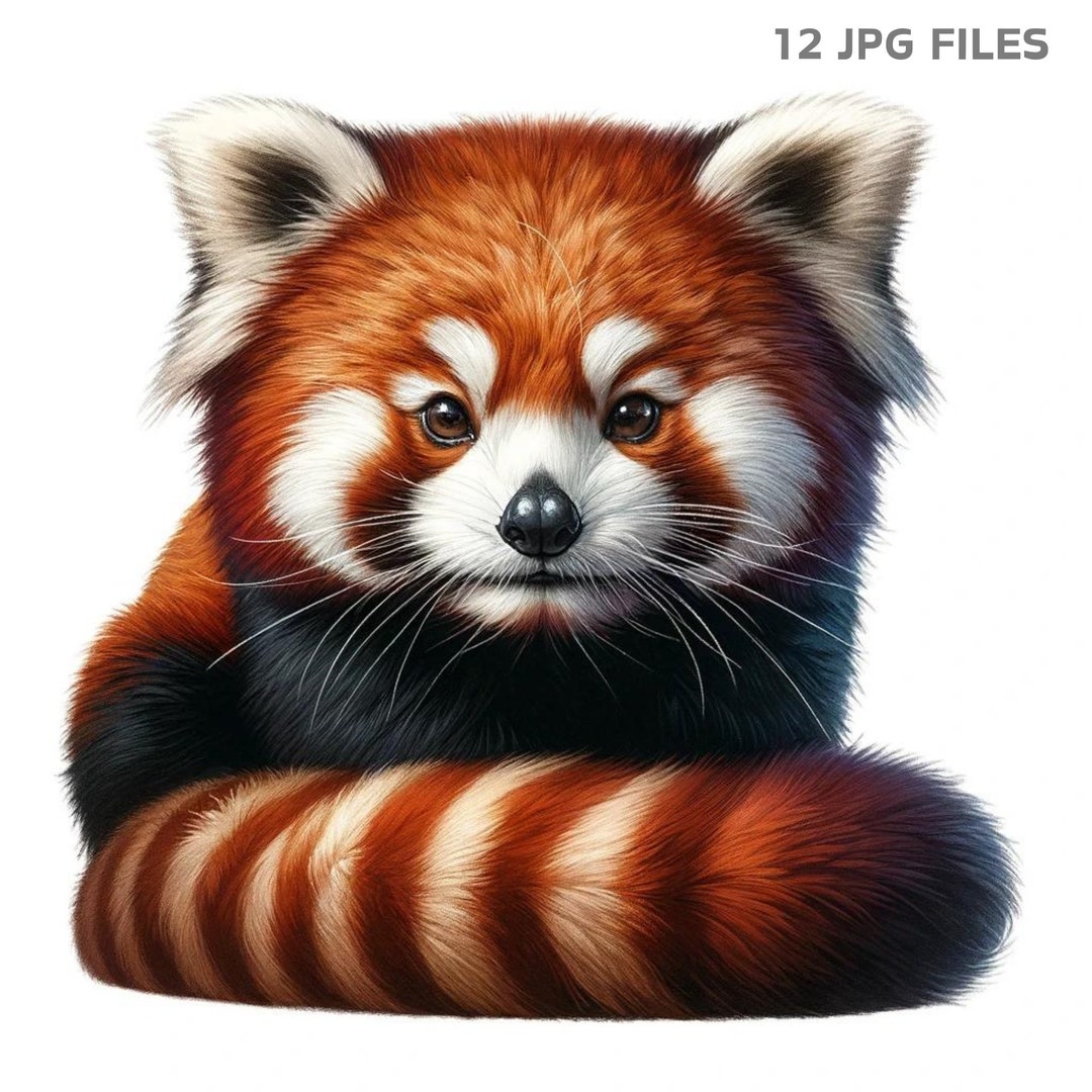 Red Panda Digital Clipart Bundle Commercial Use Printable Art, Junk ...