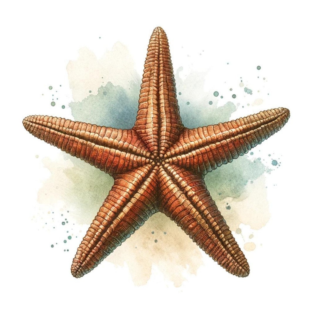 Starfish Clipart, Vintage Art, Coastal Nursery Decor, Under the Sea ...