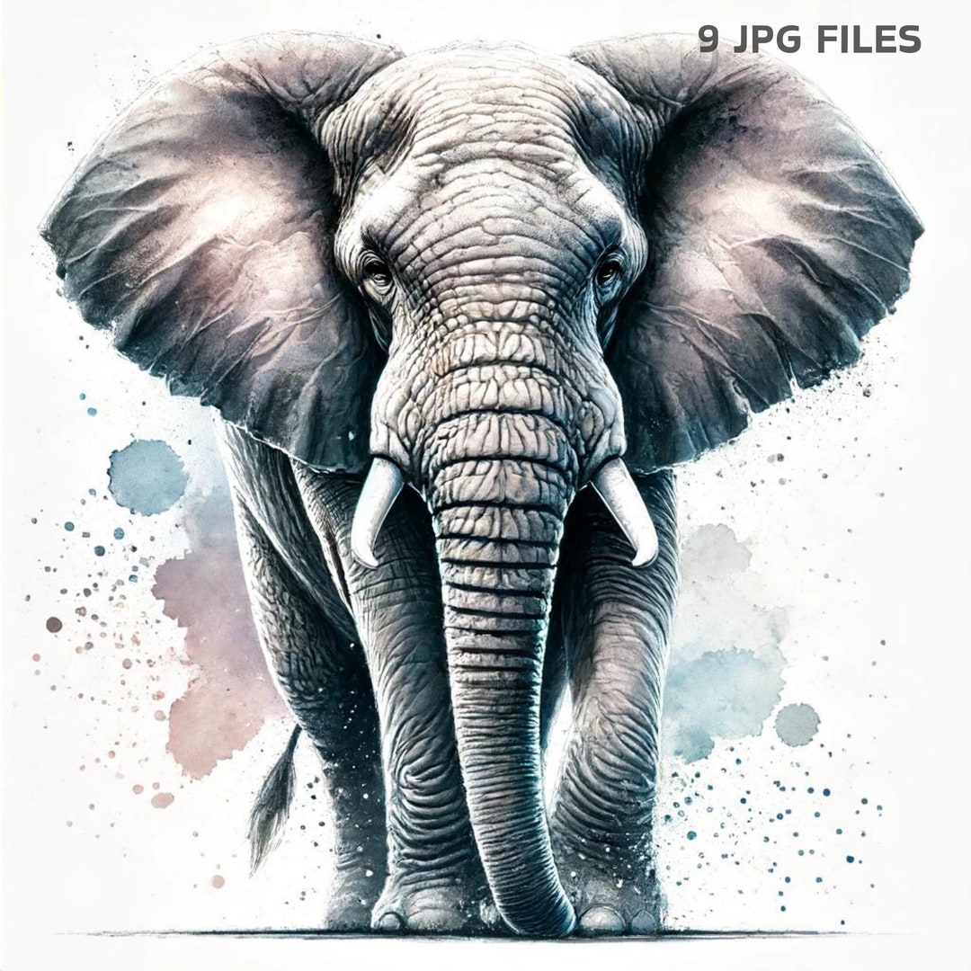 Watercolor Elephant Clipart Set for Digital Crafting & Junk Journal ...