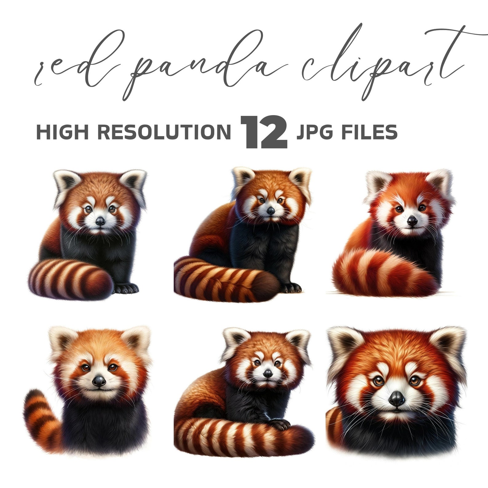 Red Panda Digital Clipart Bundle Commercial Use Printable Art, Junk ...