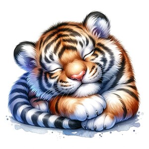 Cute Tigers Collage Images for Commercial Use, Jungle Nursery Decor ...