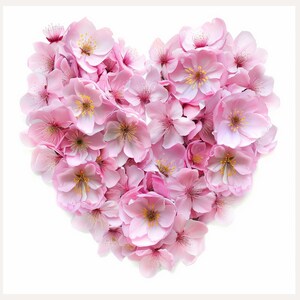 9 Watercolor Pink Hearts Flowers, Spring Floral Clipart for Commercial ...