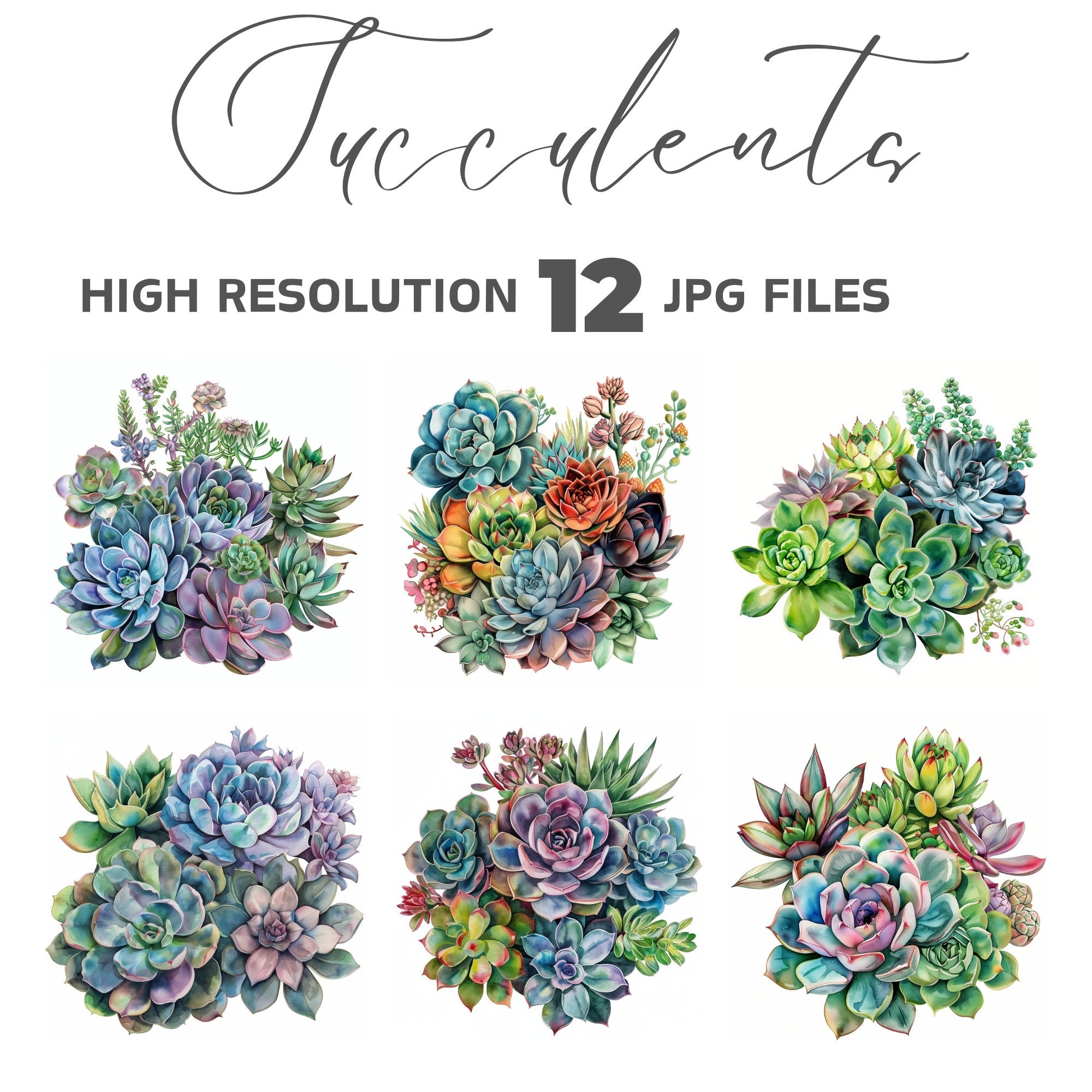12 Watercolor Succulent Clip Art Set Digital Bundle for Junk Journal ...