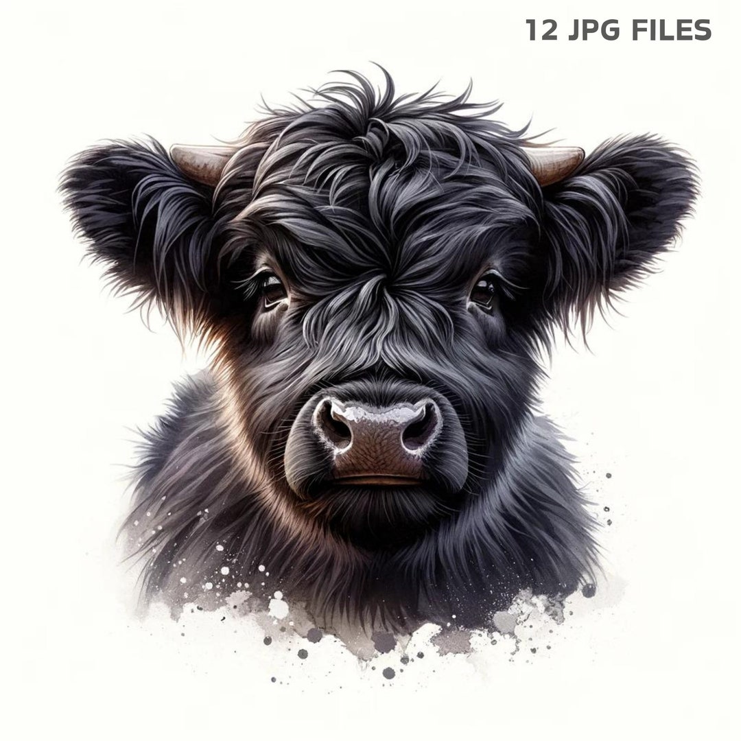 Baby Highland Cow Print Digital Download Highland Cow Clipart Bundle ...