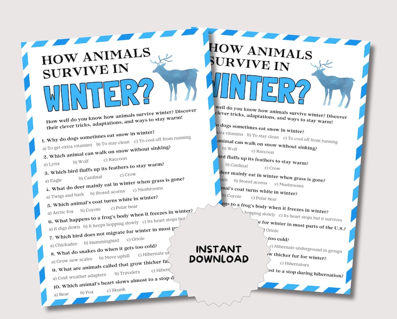 How Animals Survive in Winter Trivia, Fun Winter Game for Kids Teens ...