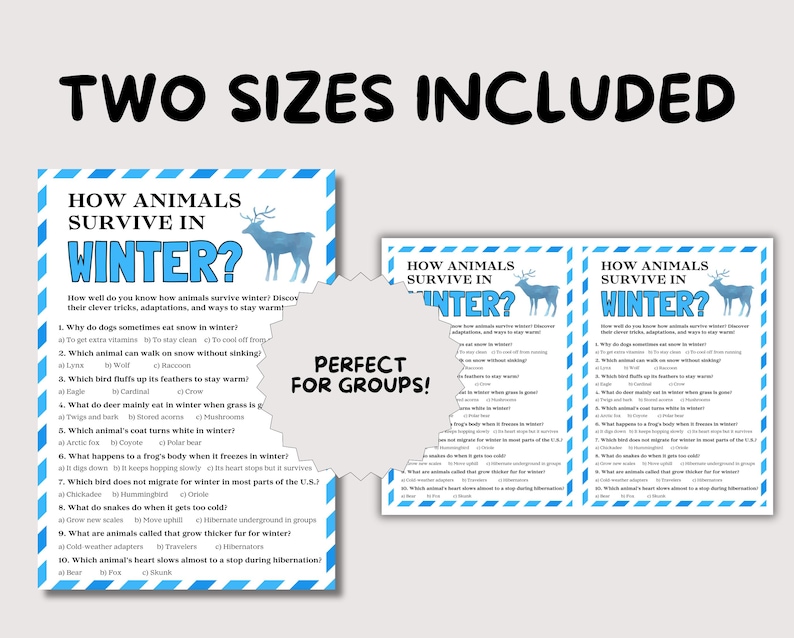 How Animals Survive in Winter Trivia, Fun Winter Game for Kids Teens ...